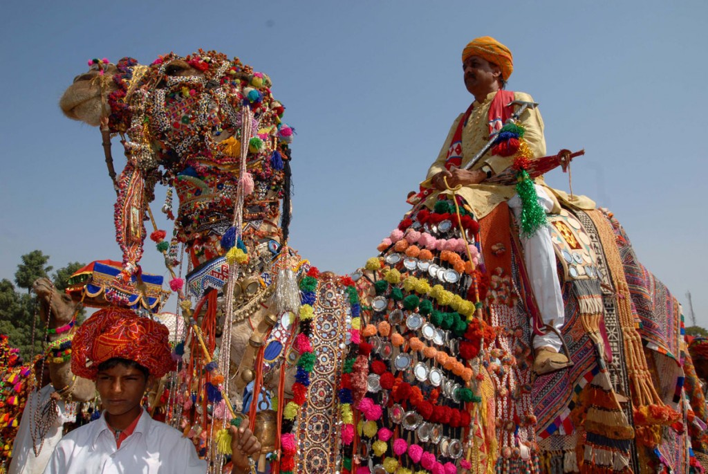 Pushkar Camel Fair - TripZilla