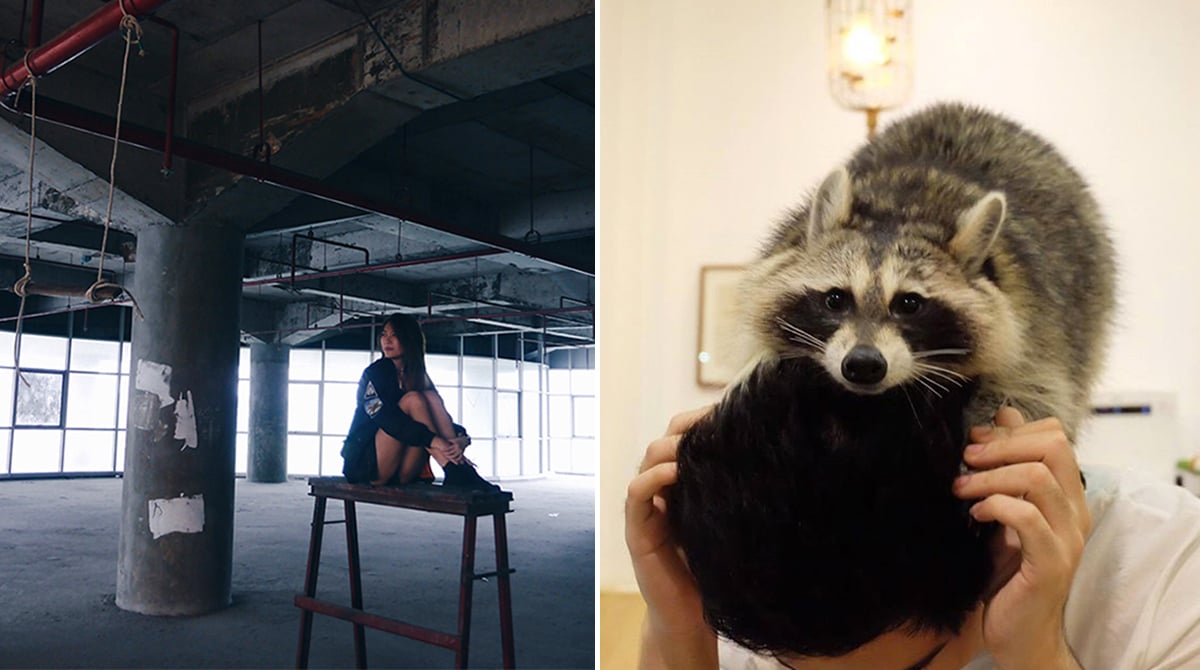 Featured - TripZilla