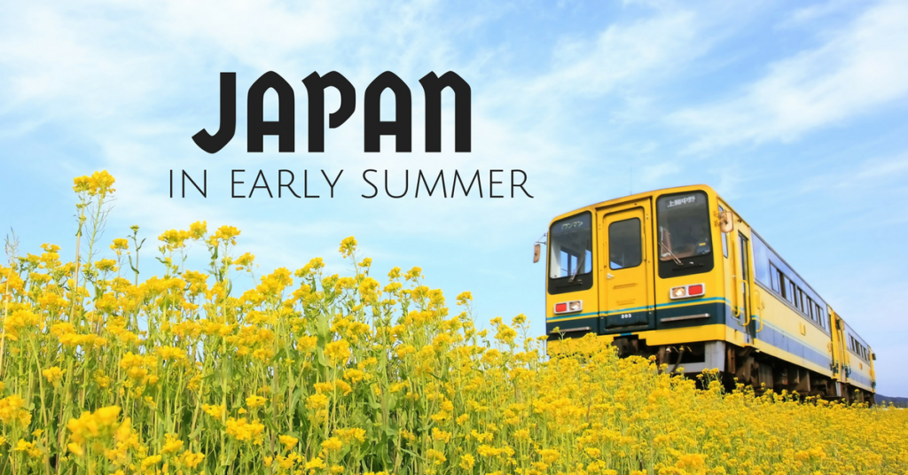 bintan couple - TripZilla