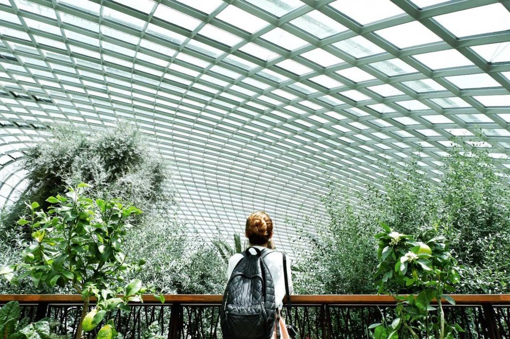 73852_1600x1064 - TripZilla